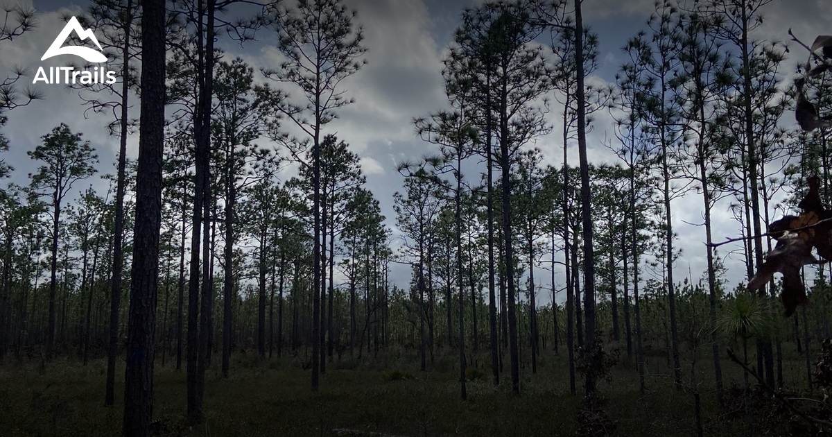 Apalachicola National Forest | List | AllTrails