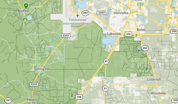 Apalachicola National Forest | List | AllTrails