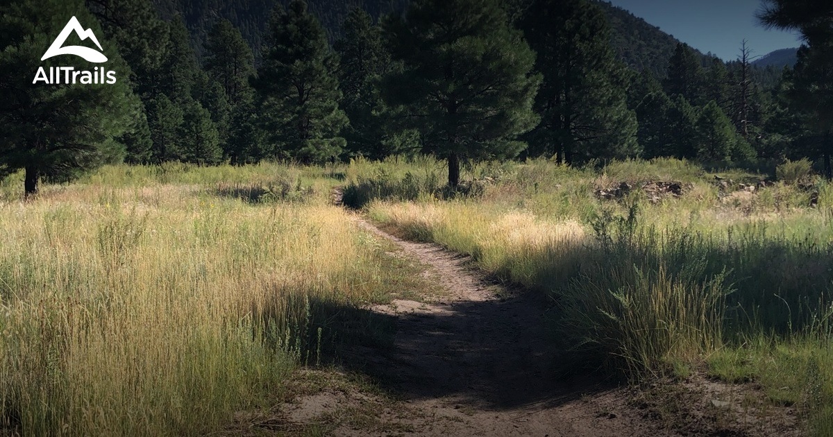 Shultz Pass | List | AllTrails