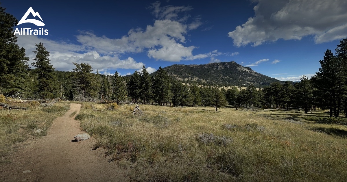 Easy Hikes in RMNP | List | AllTrails