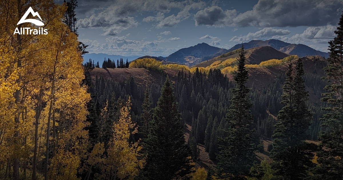 Wasatch Crest Trail | List | AllTrails