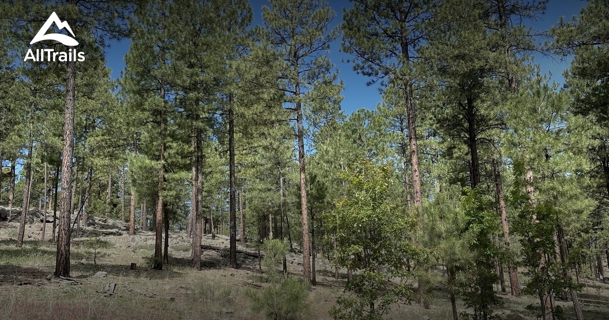 Flagstaff Bike Trails | List | AllTrails