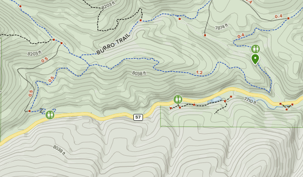 Golden Gate State Park | List | AllTrails