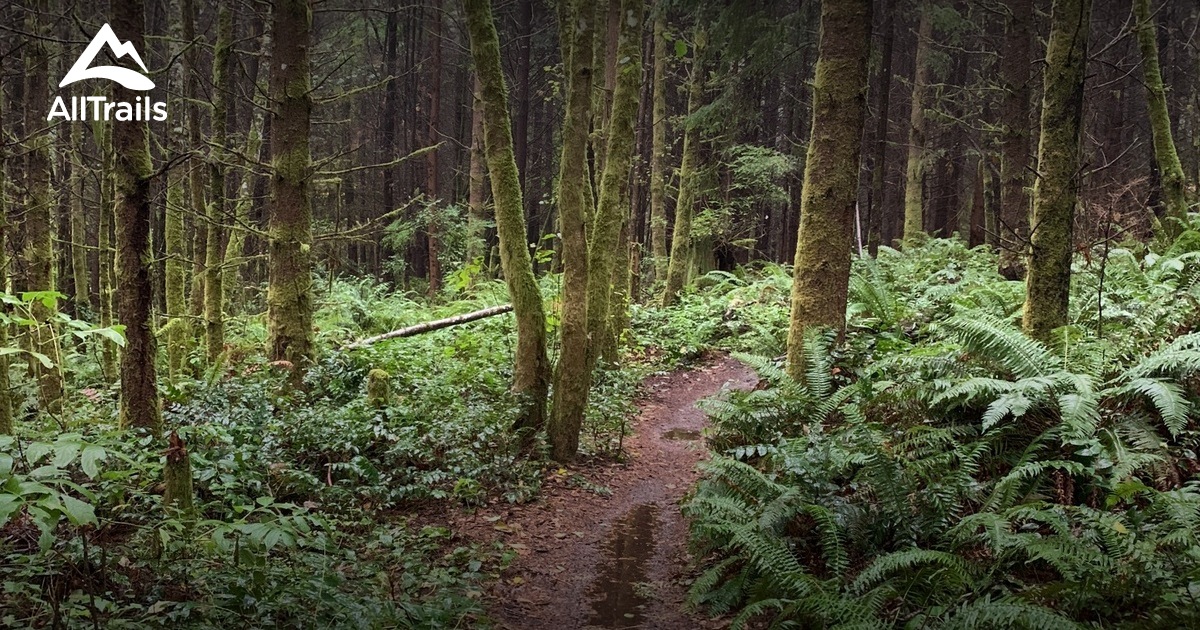 Scott Marchand | List | AllTrails