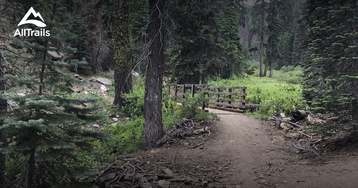 quaking aspen area | List | AllTrails