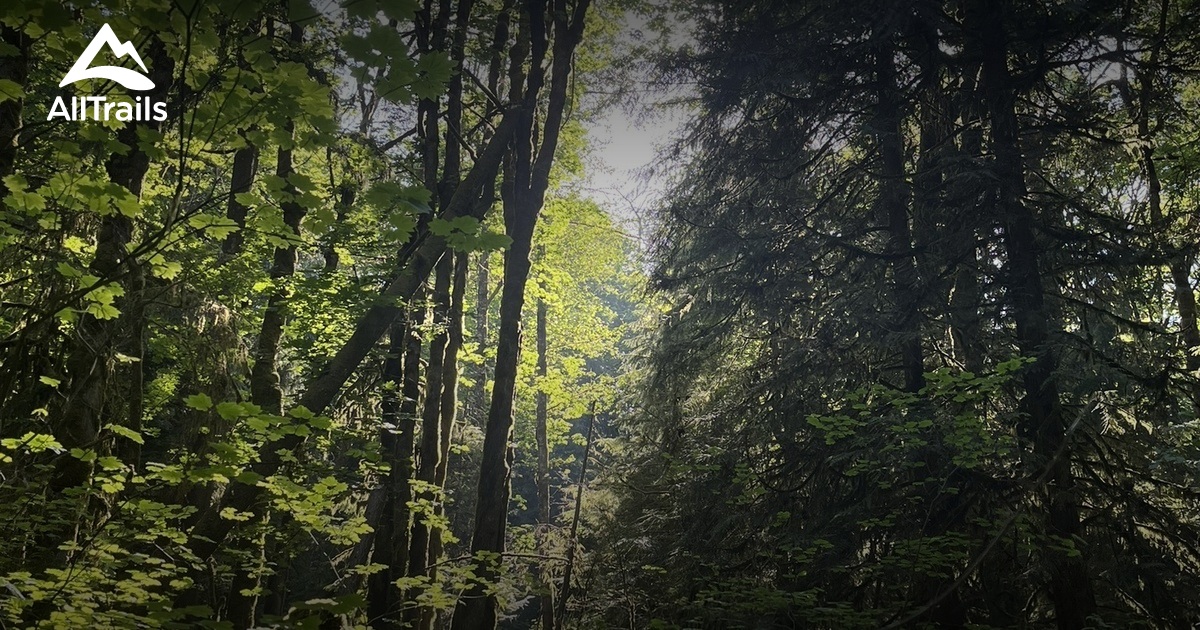 Carrie - Moderate | List | AllTrails