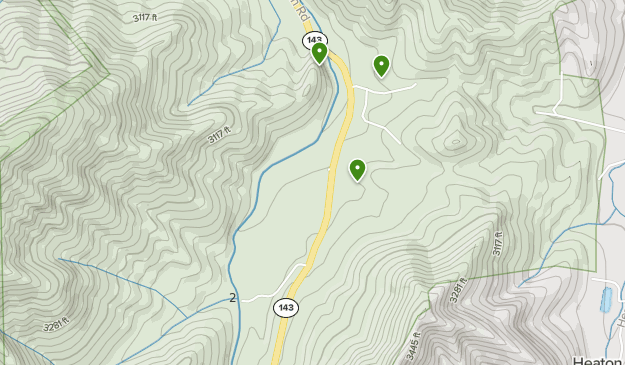 Roan Mtn State Park | List | AllTrails