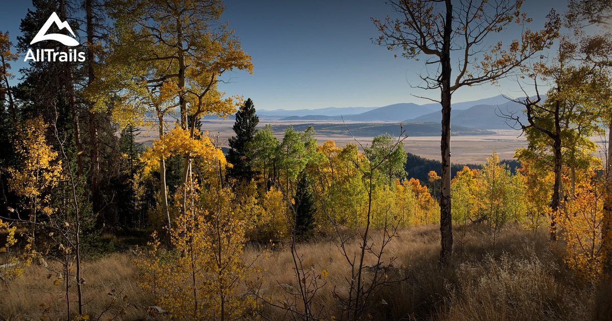 Wildflowers/Fall colors | List | AllTrails