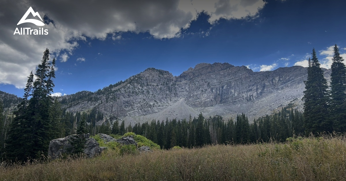 Alta/snowbird hikes | List | AllTrails