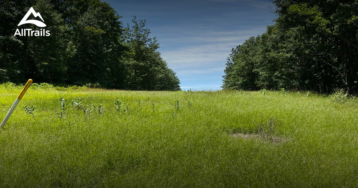 Michaux State Park | List | AllTrails