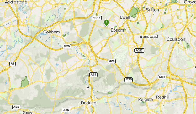 Surrey Walks | List | AllTrails