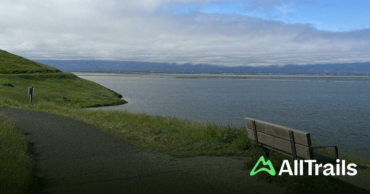 Bay Trails | List | AllTrails