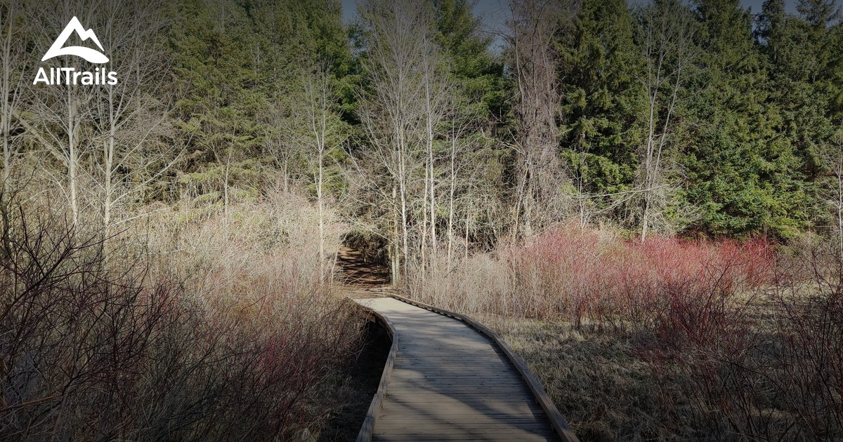 Hamilton Loop >5km | List | AllTrails