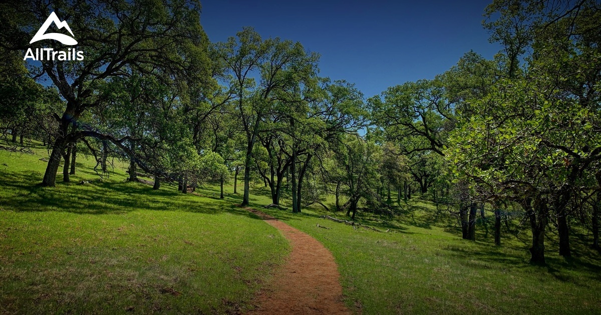 Aly Zone | List | AllTrails