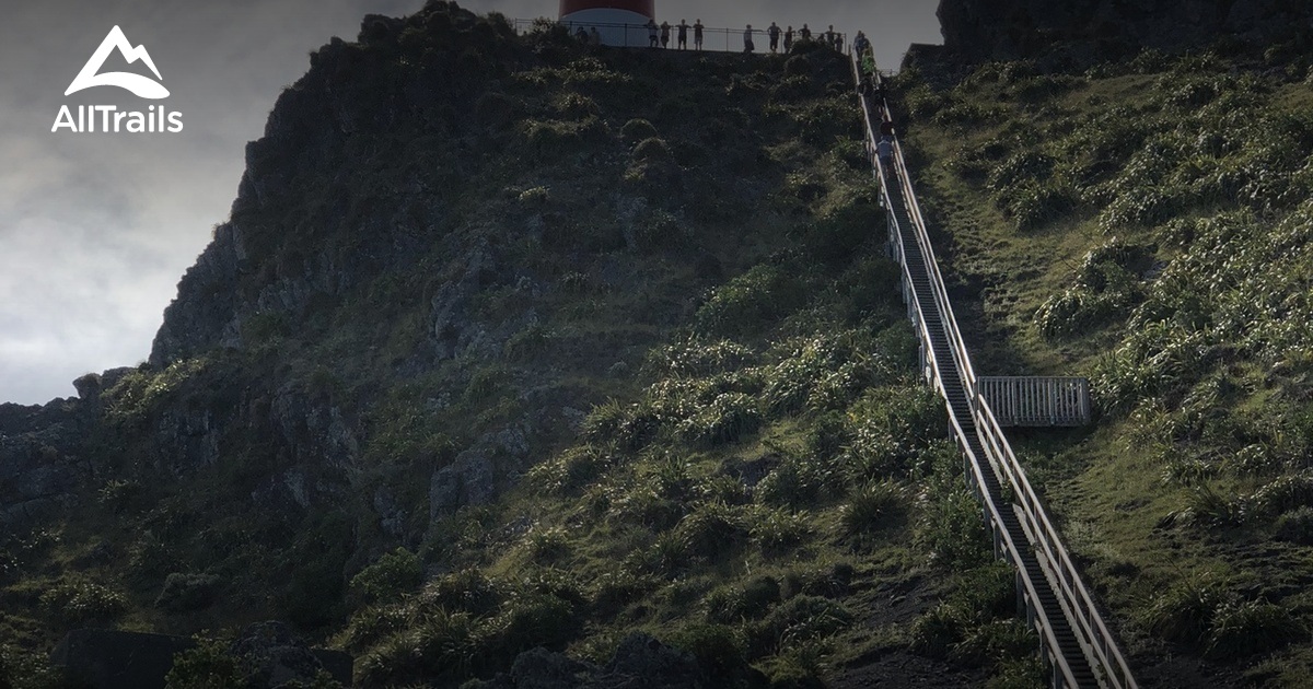 Cape palliser day trip | List | AllTrails