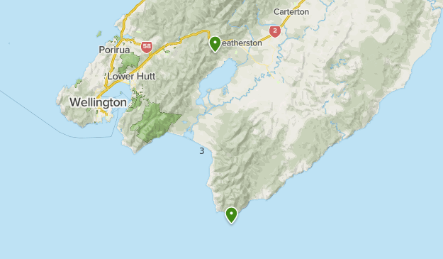 Cape palliser day trip | List | AllTrails