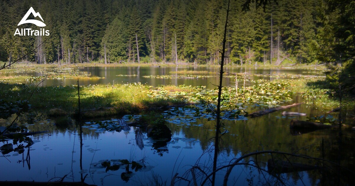 Whatcom County Day Hikes | List | AllTrails