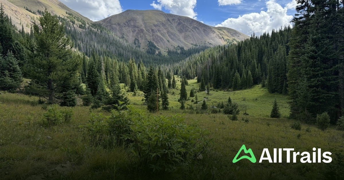 CO - State Forest State Park | List | AllTrails