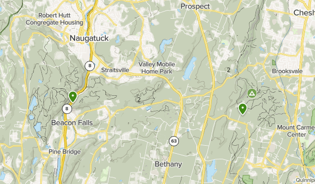 Naugatuck State Forest | List | AllTrails