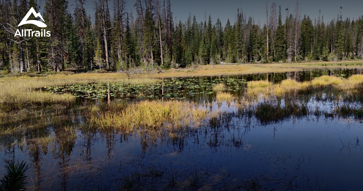 Kamas Area | List | AllTrails