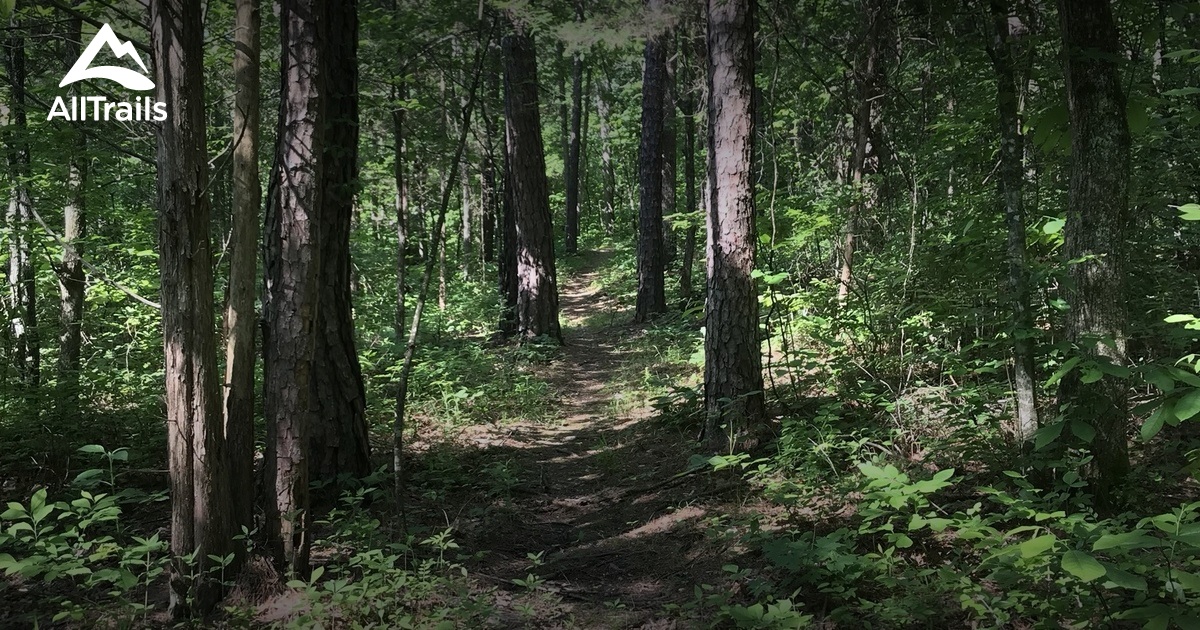 Current River State Park: Jones Trail | List | AllTrails