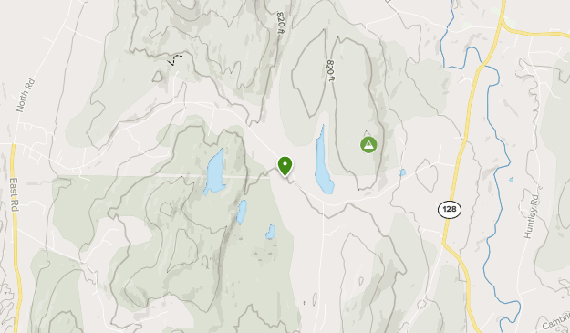 Milton Town Forest Pond Loop | List | AllTrails