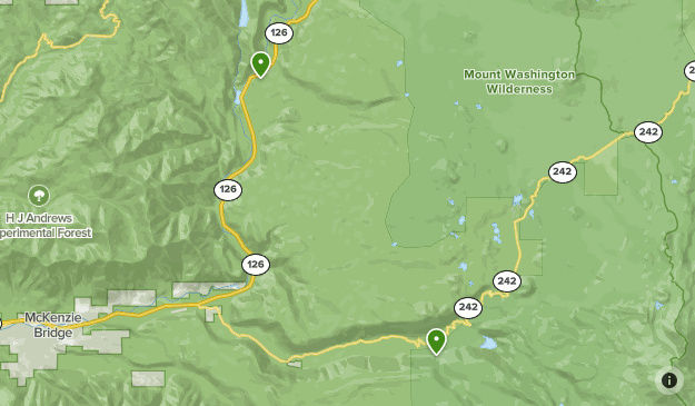 trails around McKenzie River | List | AllTrails