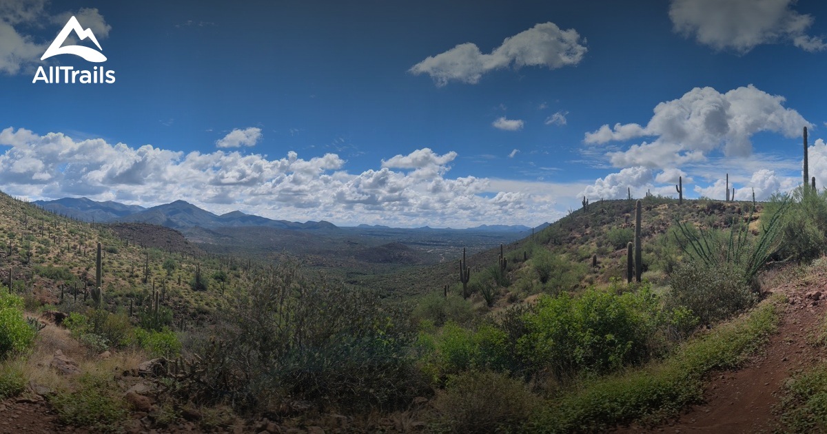 AZ Regional Parks | List | AllTrails