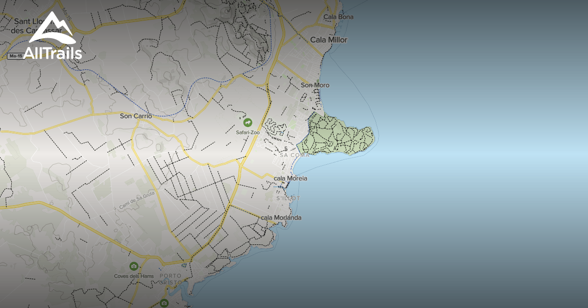 MALLORCA SA COMA | List | AllTrails