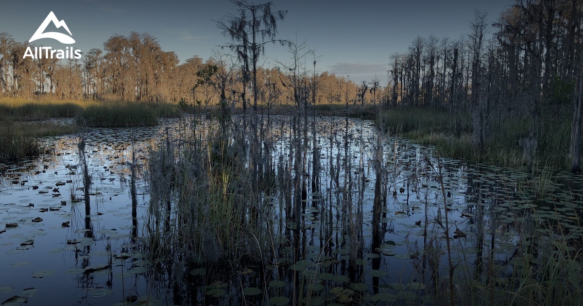 Disney Trails | List | AllTrails