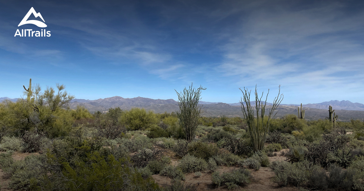 McDowell Mountain Regional Park | List | AllTrails