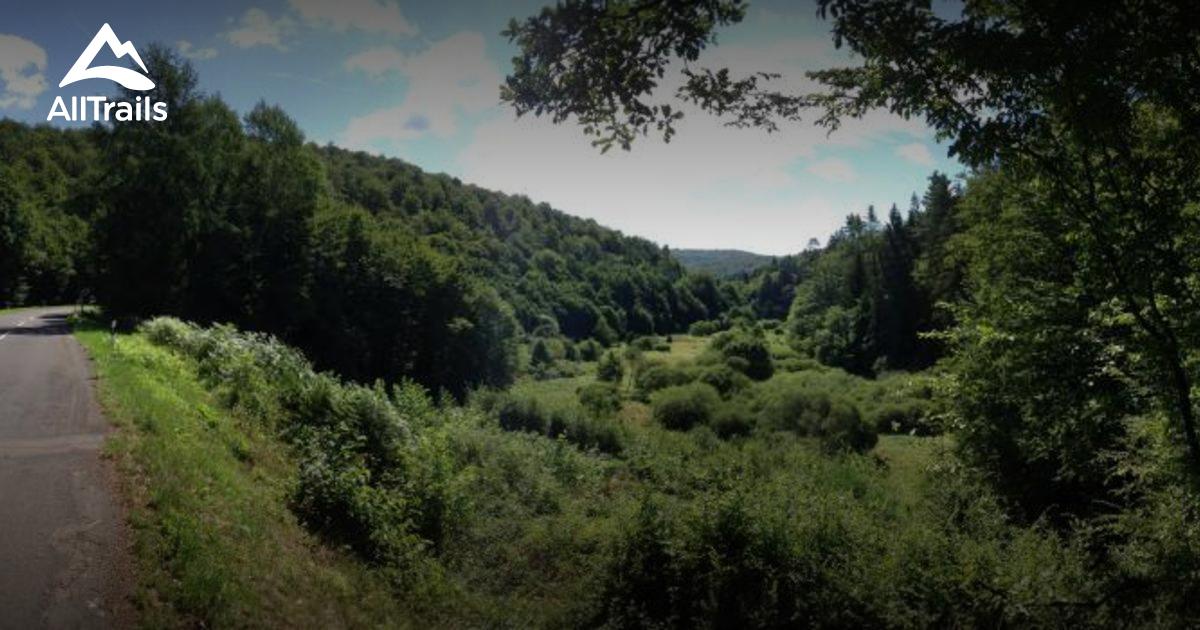 MAIN-RADWEG | List | AllTrails