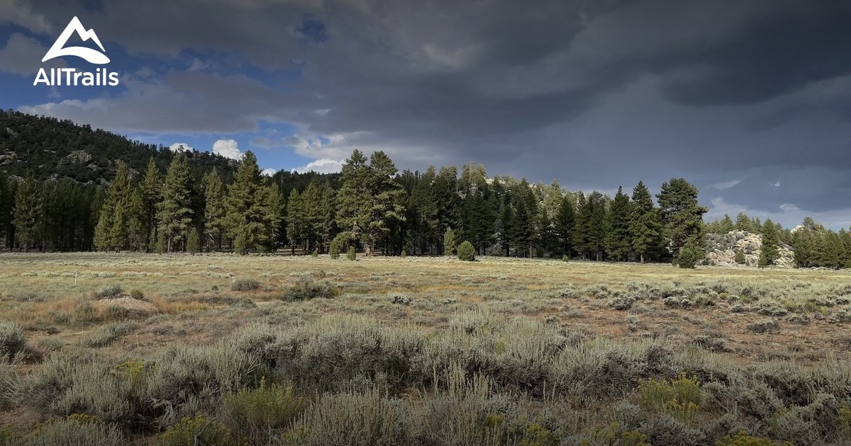 US OHV Trails | List | AllTrails