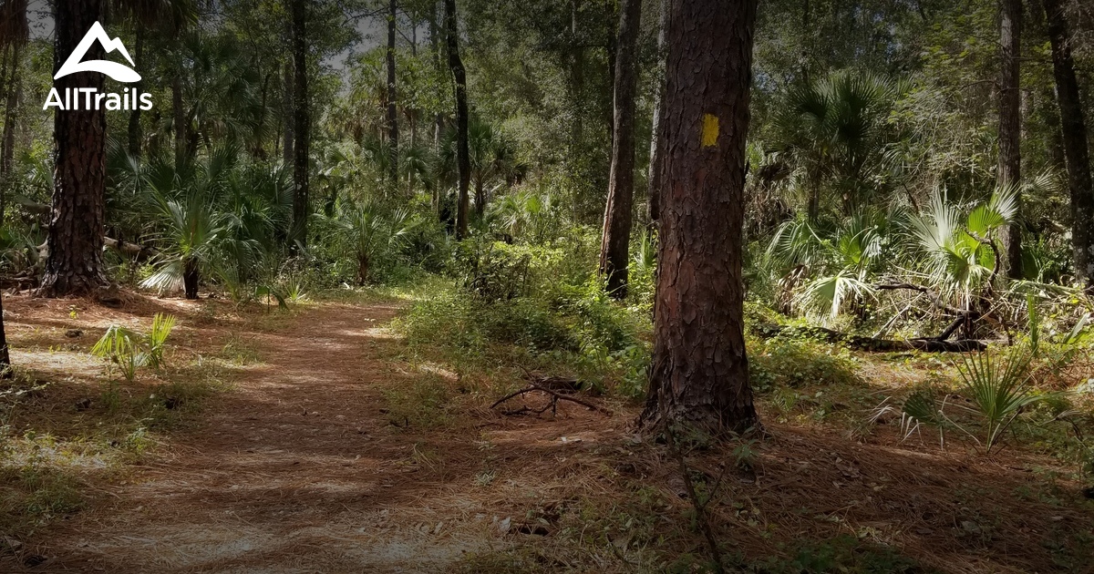 Best pathways | List | AllTrails