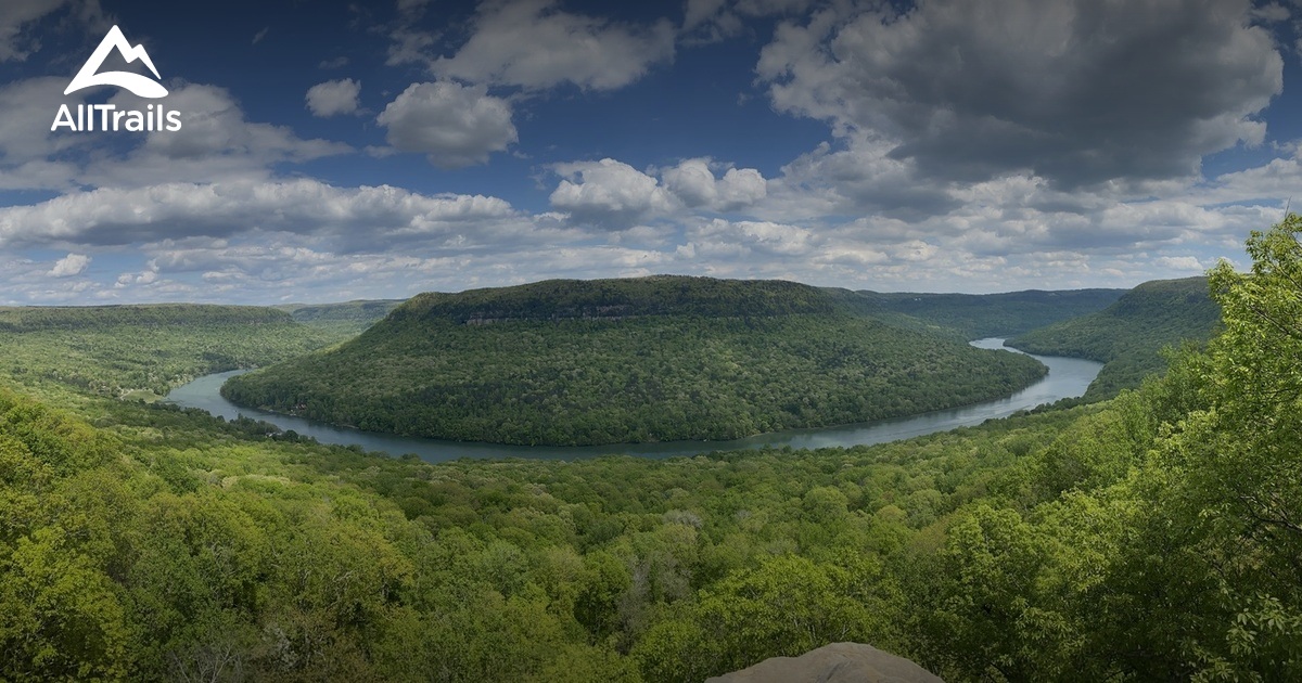Tennessee river gorge | List | AllTrails