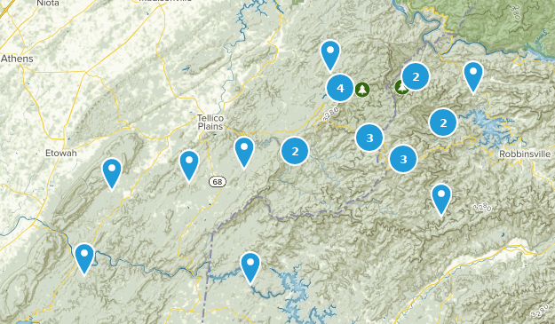 Trails along Cherohala Skyway | List | AllTrails