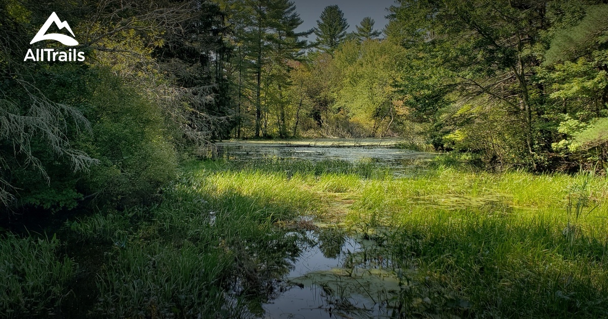 Sunday Hikes with Val | List | AllTrails