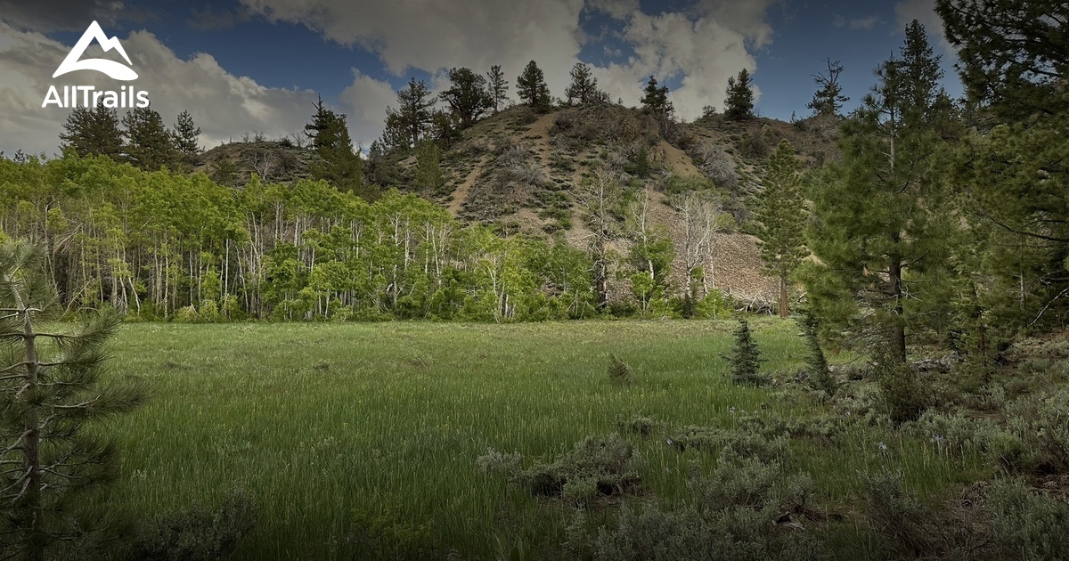 2020 Vision | List | AllTrails