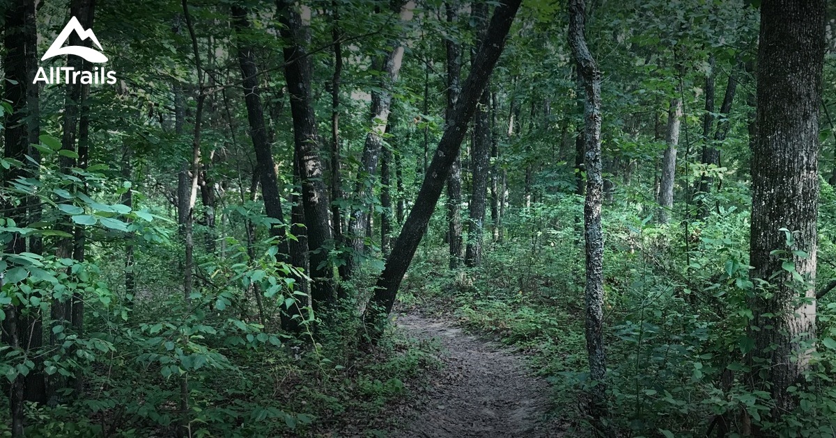 Rolla trails | List | AllTrails