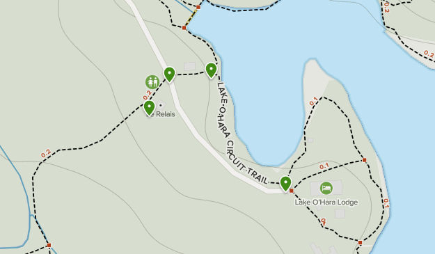 Lake O Hara Easy | List | AllTrails