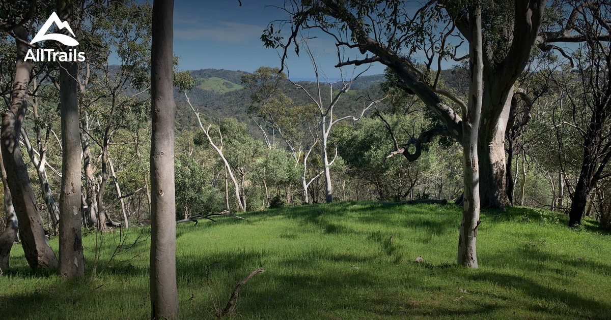SA hikes | List | AllTrails