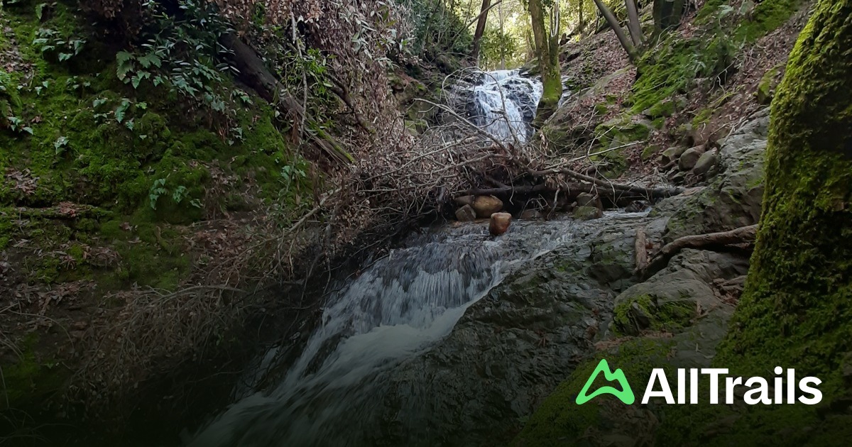 Mount Madonna trails | List | AllTrails