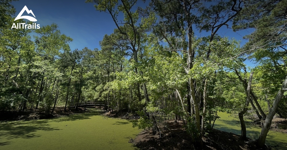 Alligator River | List | AllTrails