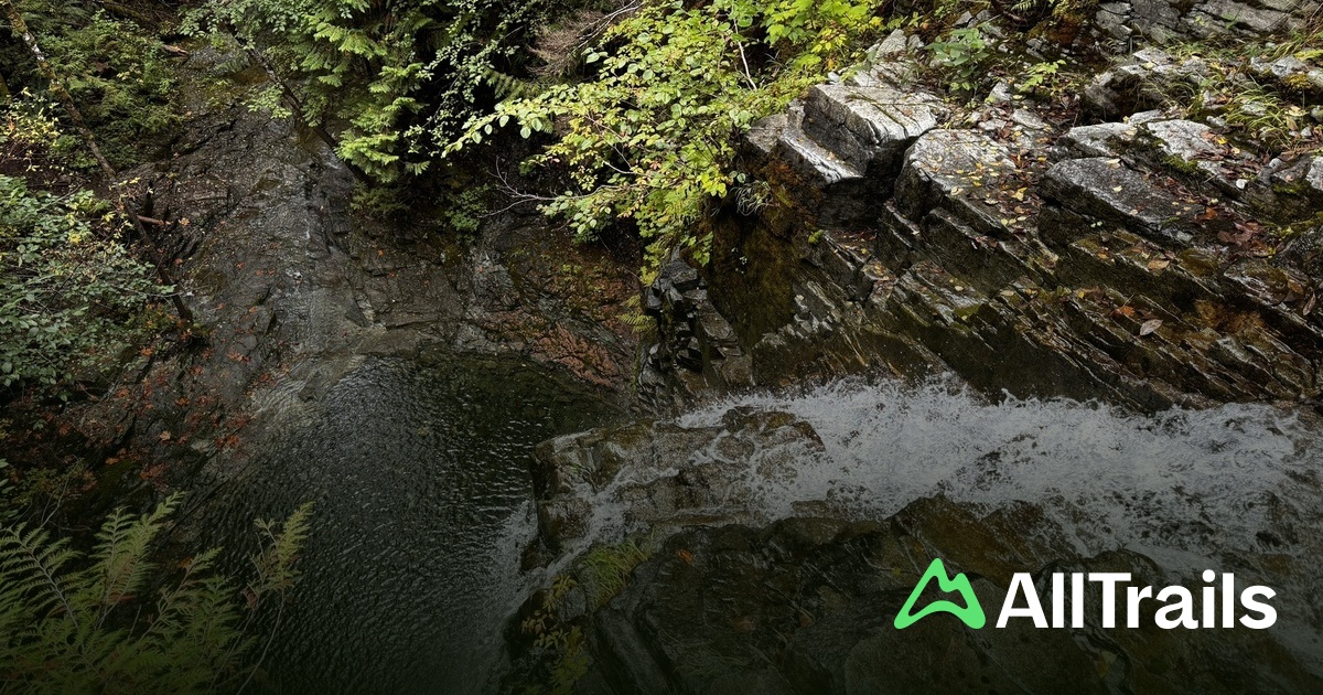 Sproat Lake | List | AllTrails