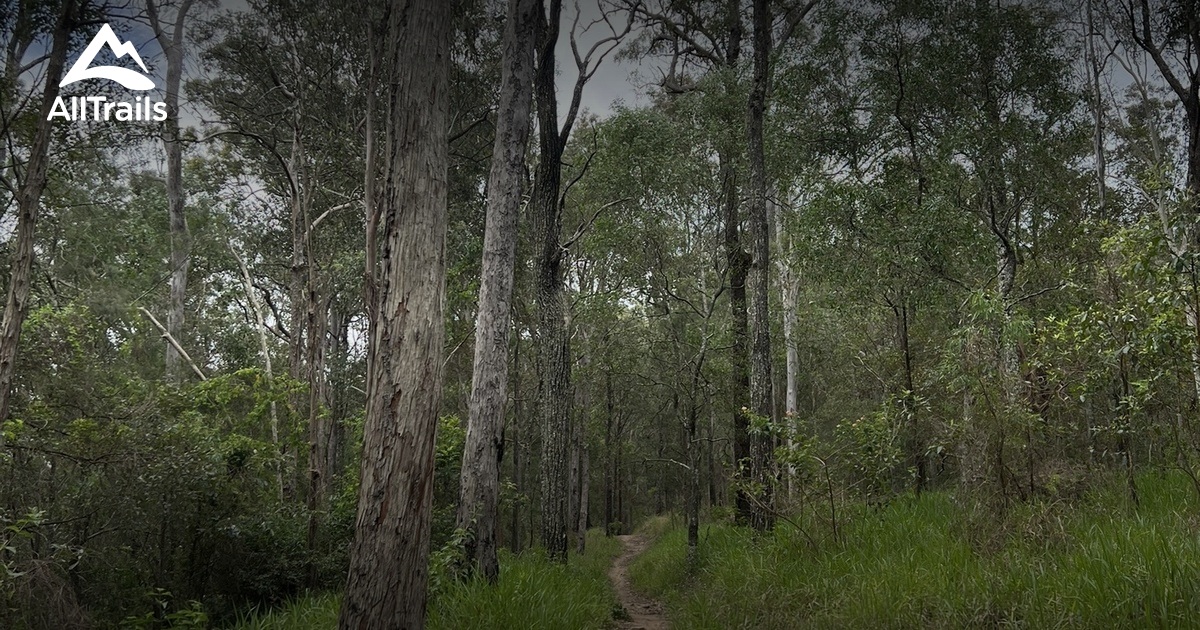 Close hikes to Bris | List | AllTrails