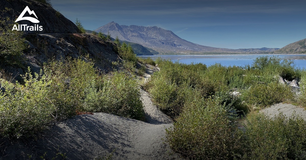 Riffe Lake Hikes to Try | List | AllTrails