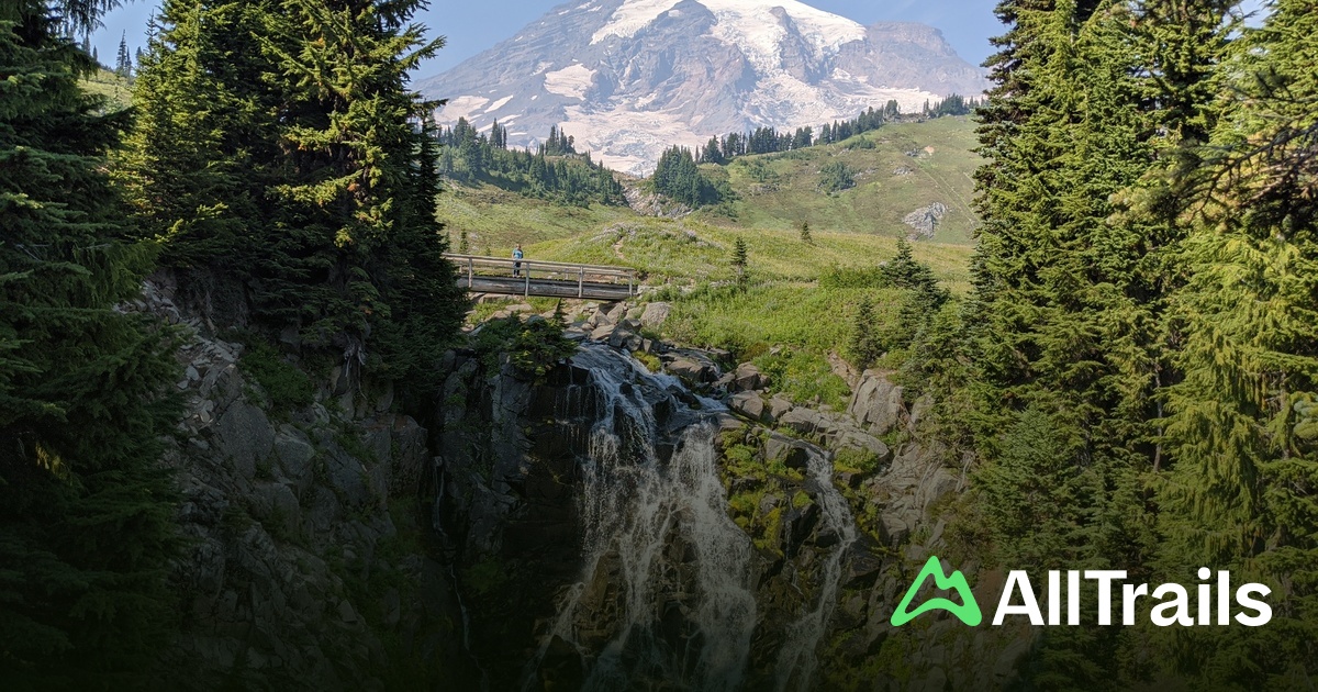 Mt. Rainier Paradise Trails | List | AllTrails