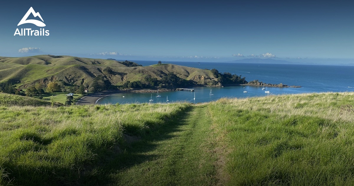 Auckland day hikes | List | AllTrails