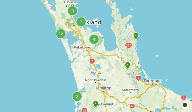 Auckland day hikes | List | AllTrails