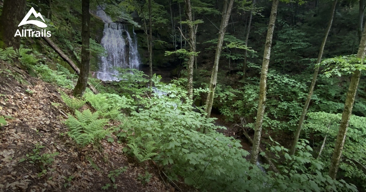 Catskills, Waterfalls Hikes | List | AllTrails